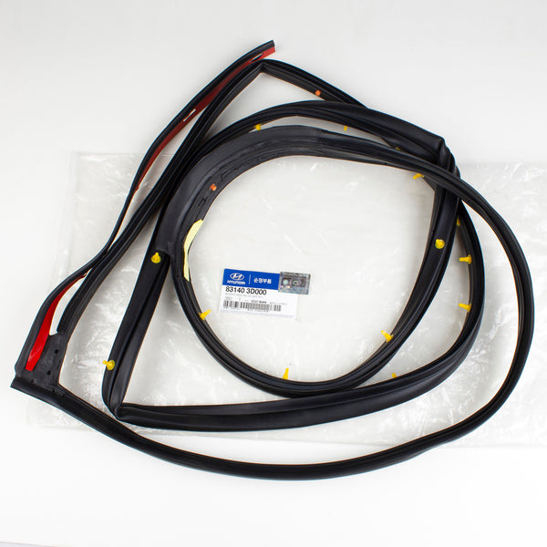 Genuine Hyundai Door Side-Door Rubber Weatherstrip Seal RR/RH 02-05 So ...